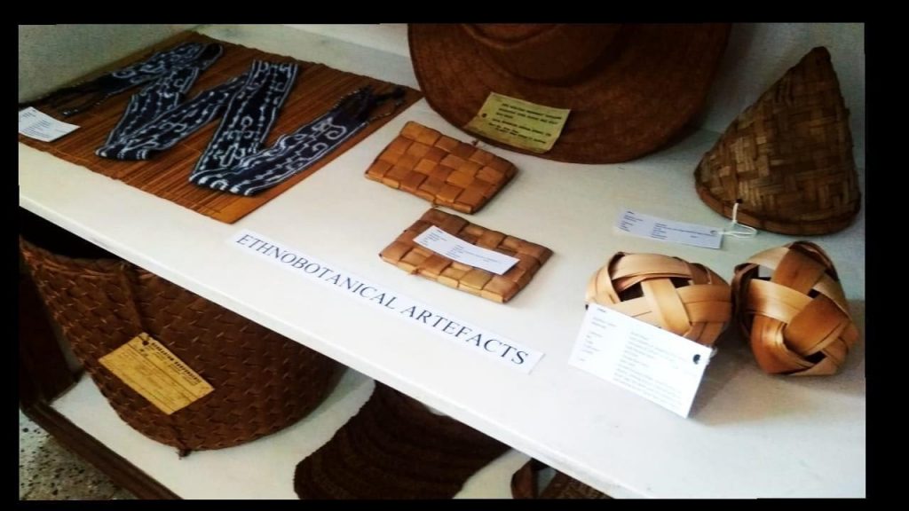 Koleksi Herbarium Bandungense – herbarium